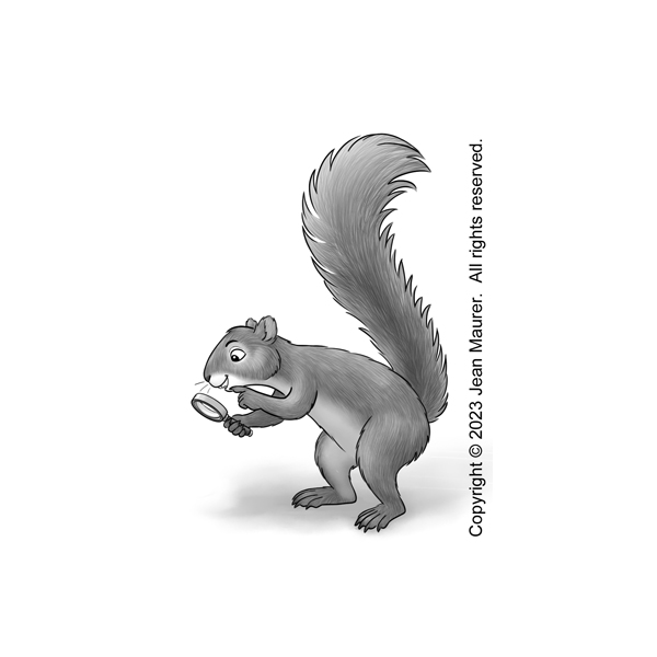 Rocky The Human Squirrel – Karen B. Jones – Illustrator